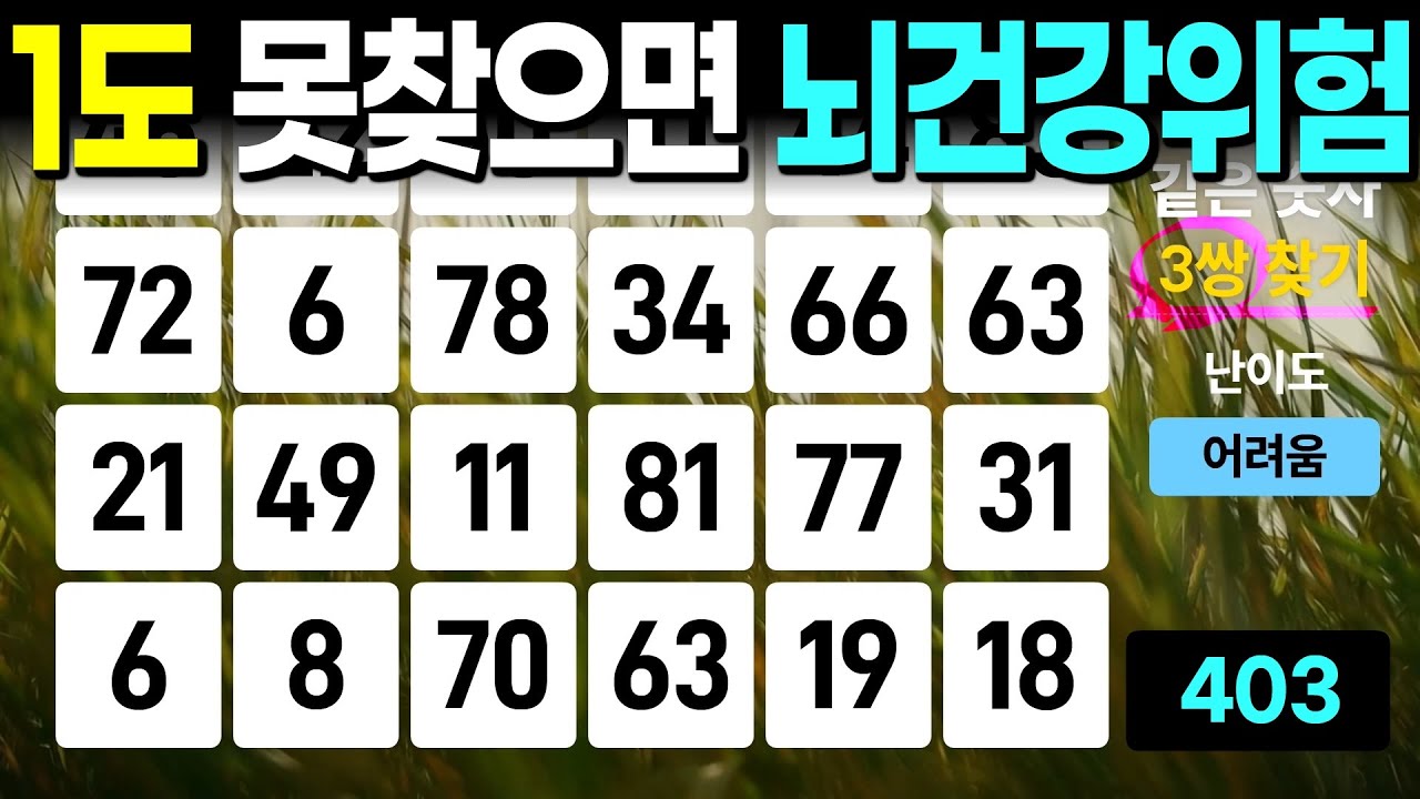 뇌건강 확인을 위해 최소 1쌍은 찾아주세요 같은숫자찾기 치매예방퀴즈 치매예방활동 숫자퀴즈 숫자찾기 단어퀴즈 치매