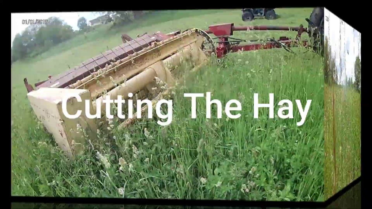 Hay Week YouTube hay-week-youtube