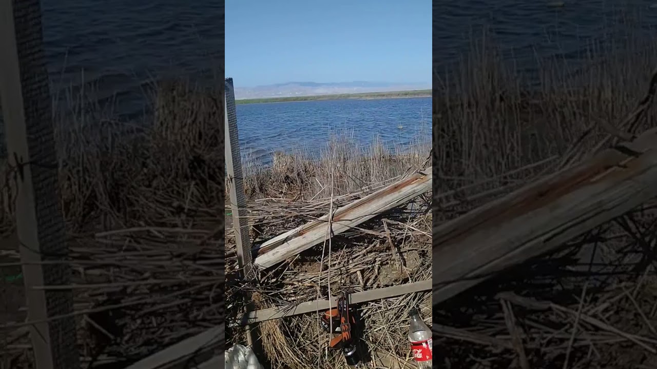 Oxota na utok - YouTube