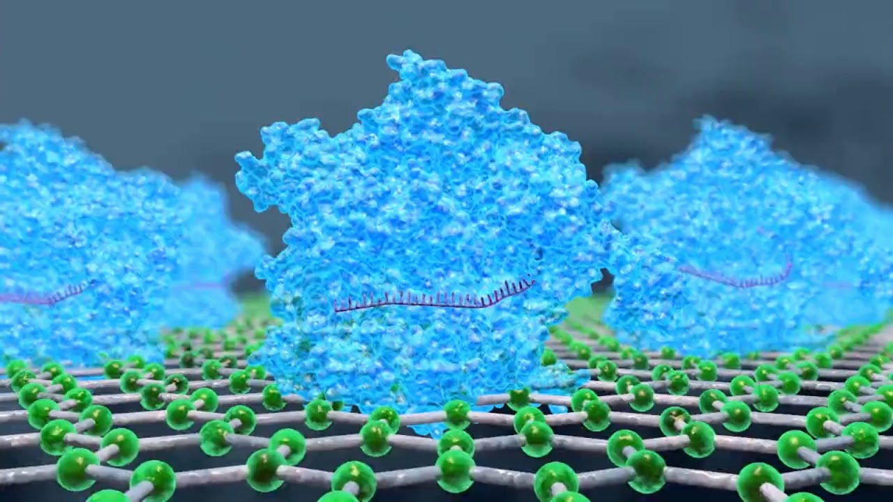 CRISPR-Chip: Detection of Unamplified Target Genes via CRISPR/Cas9 ...