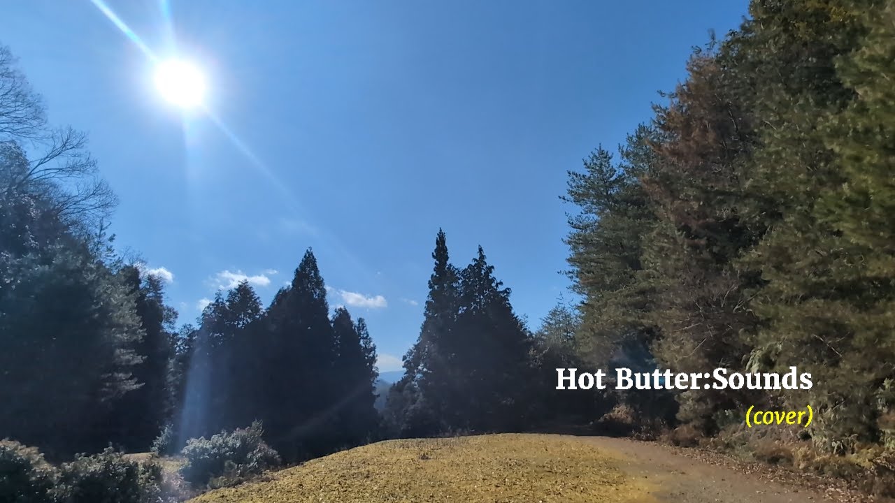 Hot Butter : Sounds (cover) - YouTube