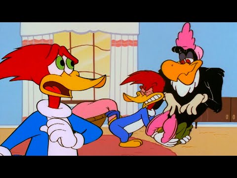 Pica-Pau Toma Conta do Zeca Urubu | Pica-Pau em Português
