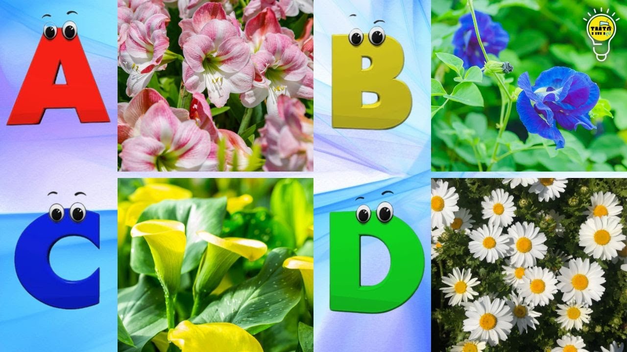 Flowers Alphabet Song | Flowers ABC Song | A to Z Flowers Names ...