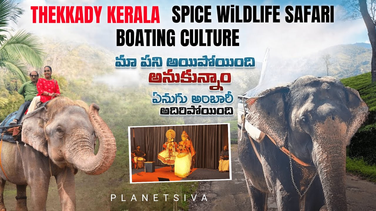 Thekkady I Scenery I Spice I Wildlife - YouTube