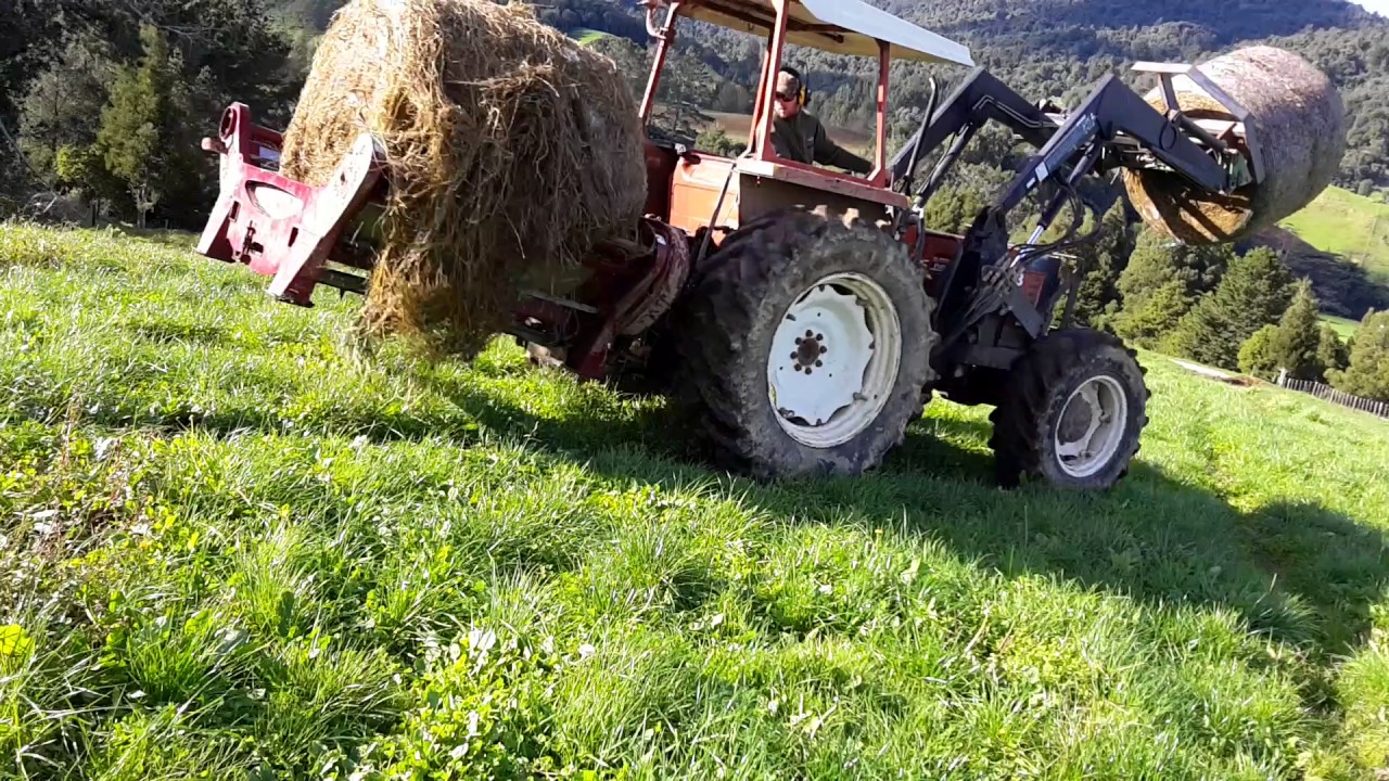 Feeding cows and setting up for tomorrow - YouTube