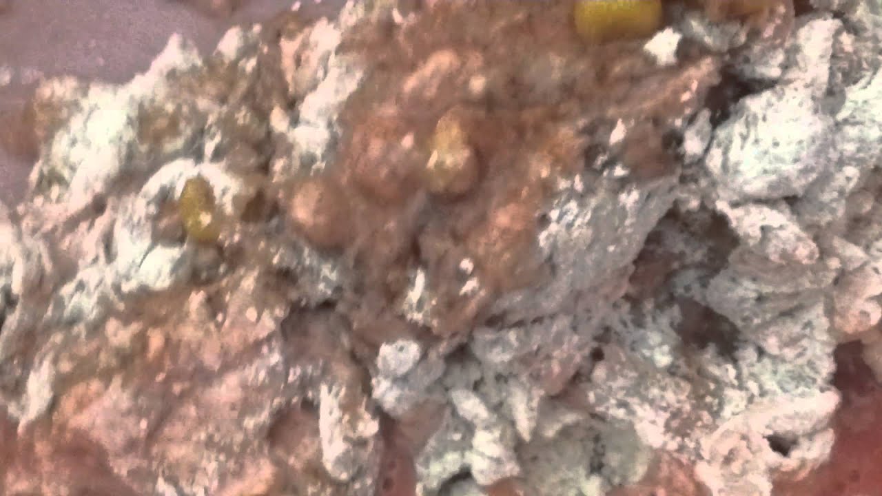 How to make homemade carp bait - YouTube