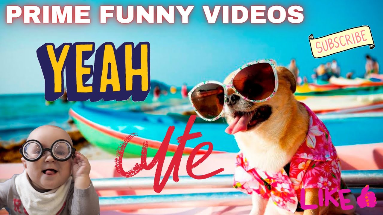 VIRAL FAILS 🤣 Try Not To Laugh | Top Comp | Prime Funny Videos | Funny ...