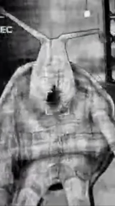 Gary the snail [ Content Warning ] - YouTube