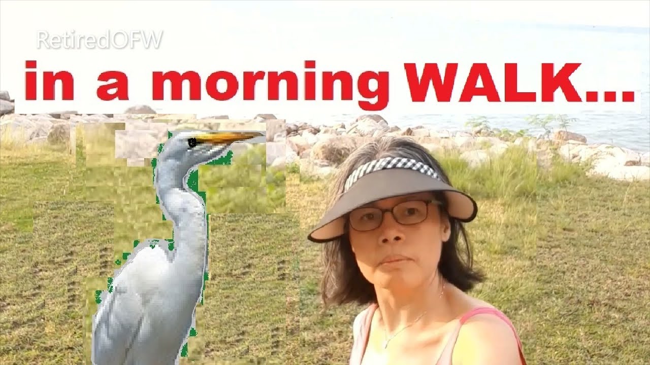 MORNING BRISK WALK -V5.(rain or shine walk excercise in the promenade ...