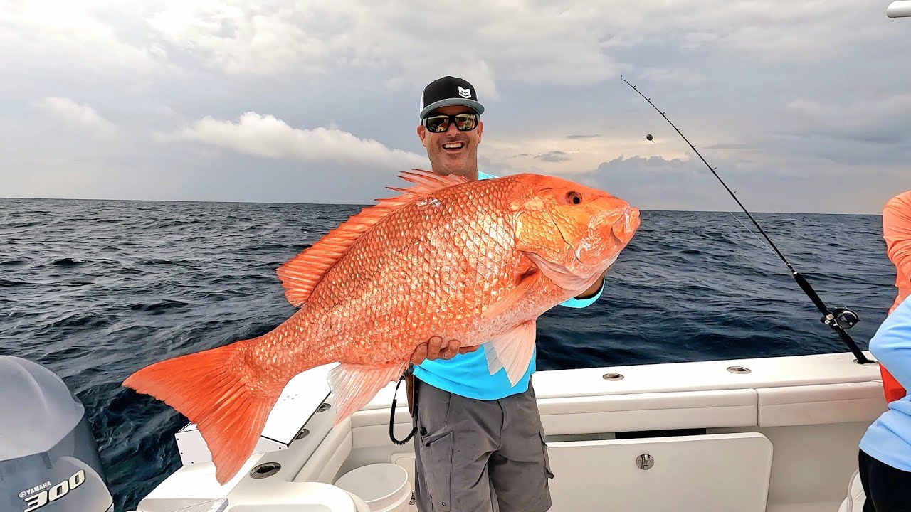 HUGE Snapper | Off shore fishing (Catch Clean Cook) - YouTube