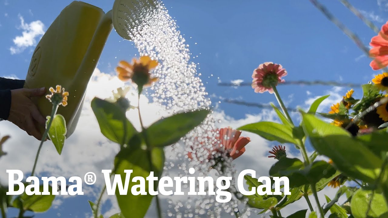 Bama® Watering Can - YouTube