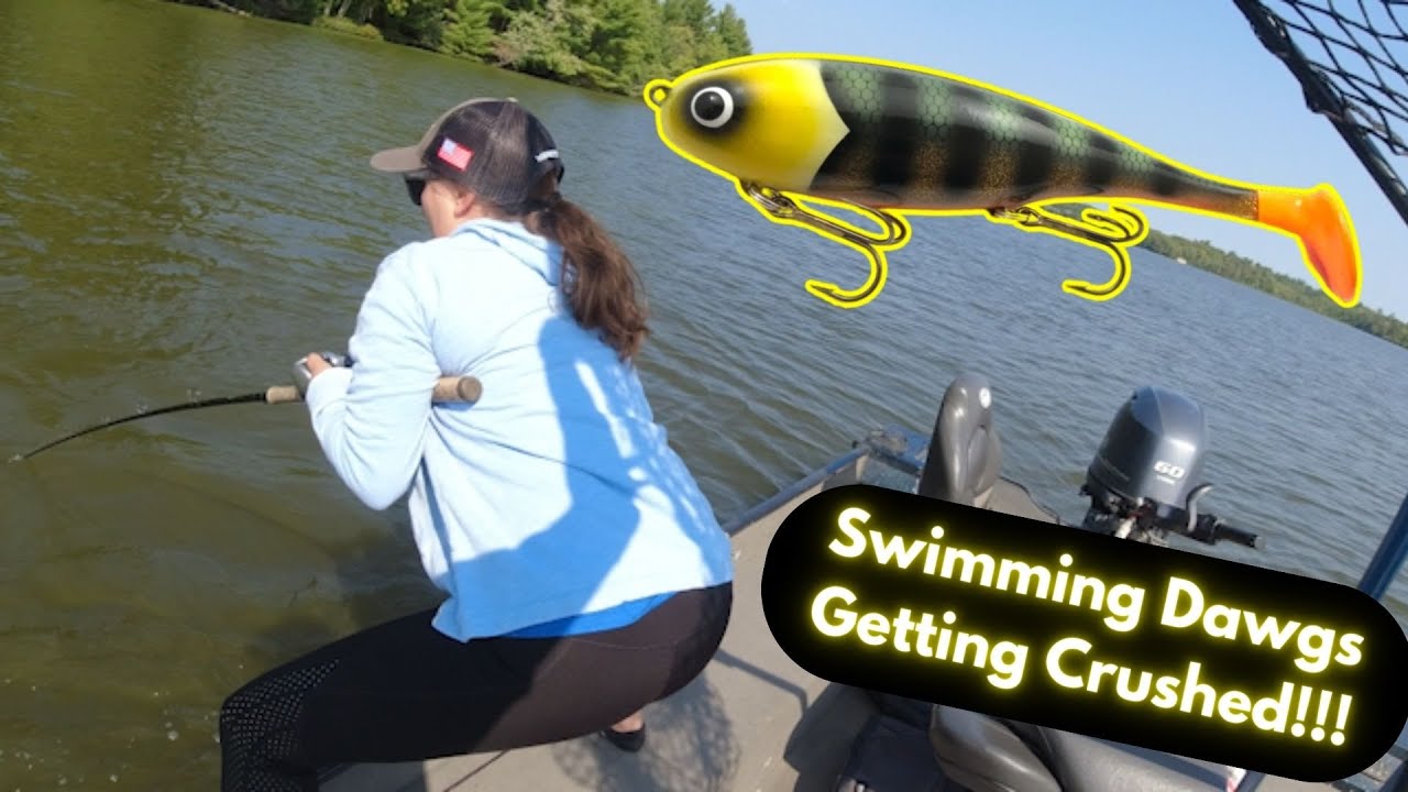 Epic MUSKY Action using SWIMMING DAWGS - YouTube