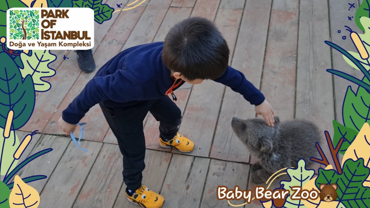 Park of Istanbul baby bear 이스탄불 파크 아기곰 Bebek ayıyı besleyip,sevebilen ...
