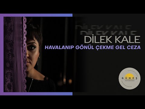 Dilek Kale - Gönül Gel Çekme Ceza 2024 © Güneş Müzik & Video