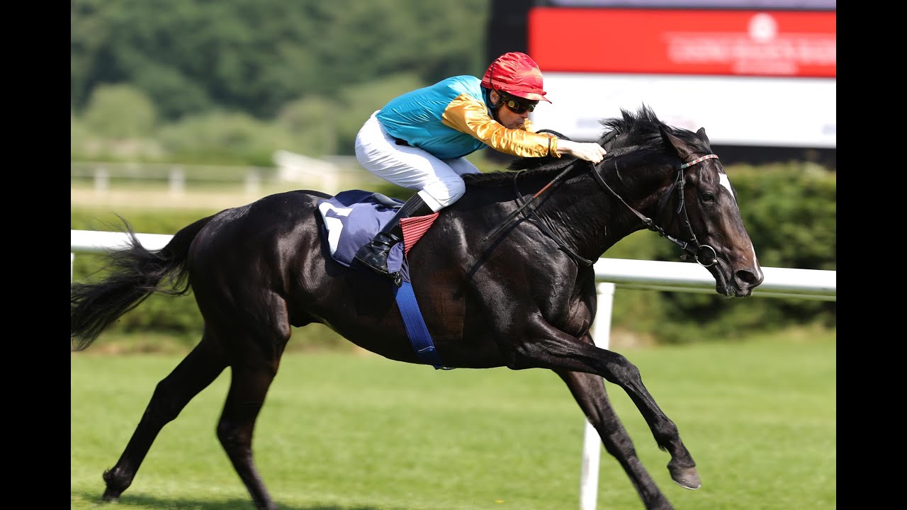 Baden-Baden: Japan Racing Association Trophy (D) - Sieger: Well Kept ...