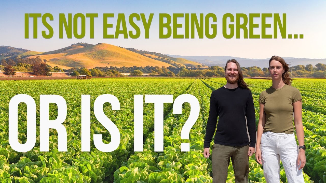 It Ain't Easy Being Green... Or Is It? - YouTube