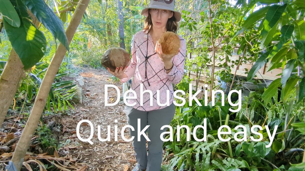 The EASIEST way to dehusk a coconut without buying a new tool! - YouTube