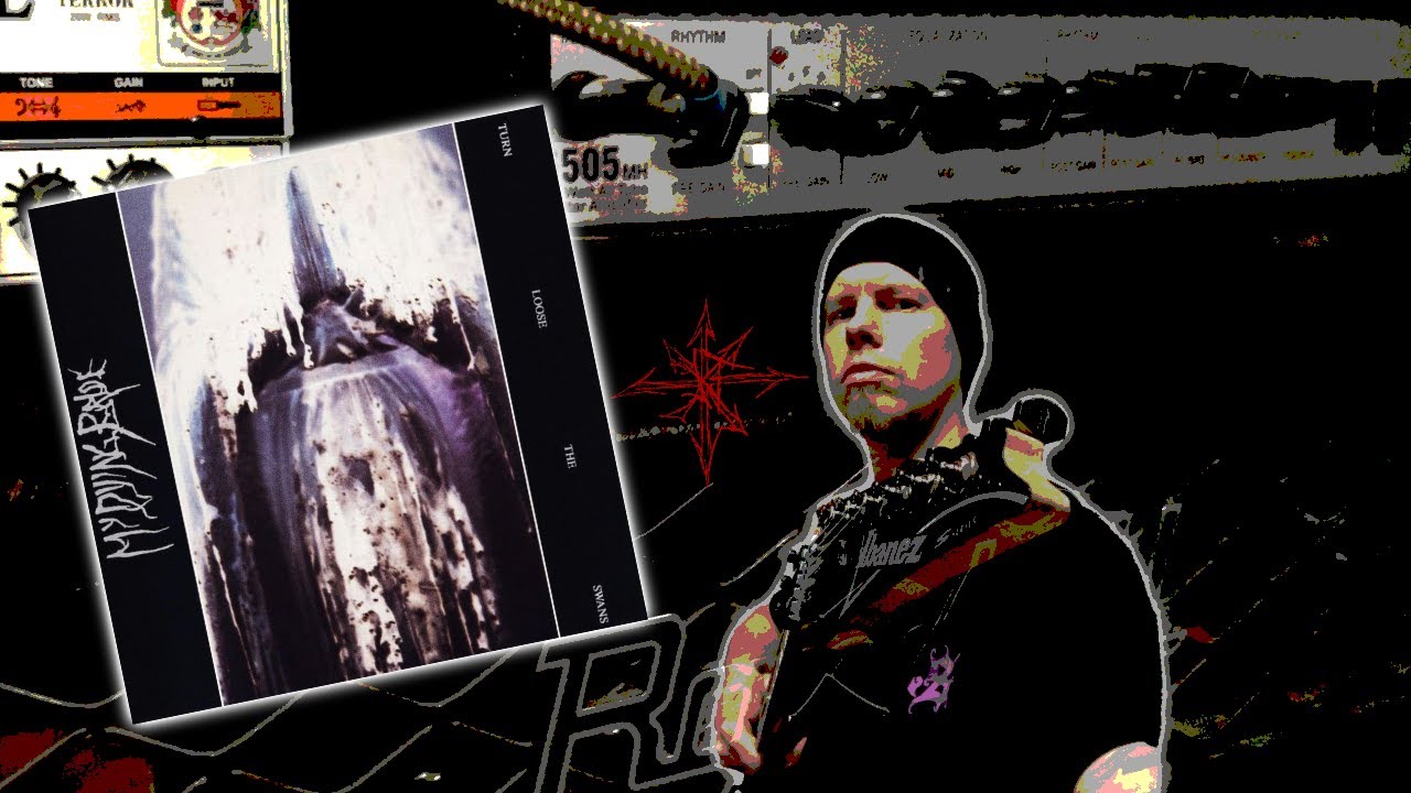 THE SONGLESS BIRD - an instrumental MY DYING BRIDE cover - YouTube