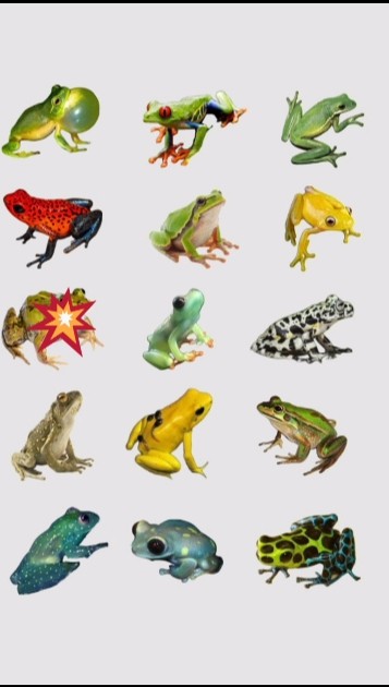 types of frags #trending #shorts #animals #cute - YouTube