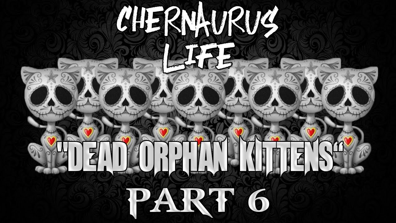 Arma 2: Chernarus Life │ Dead Orphan Kittens │ Part 6 │ "Server ...
