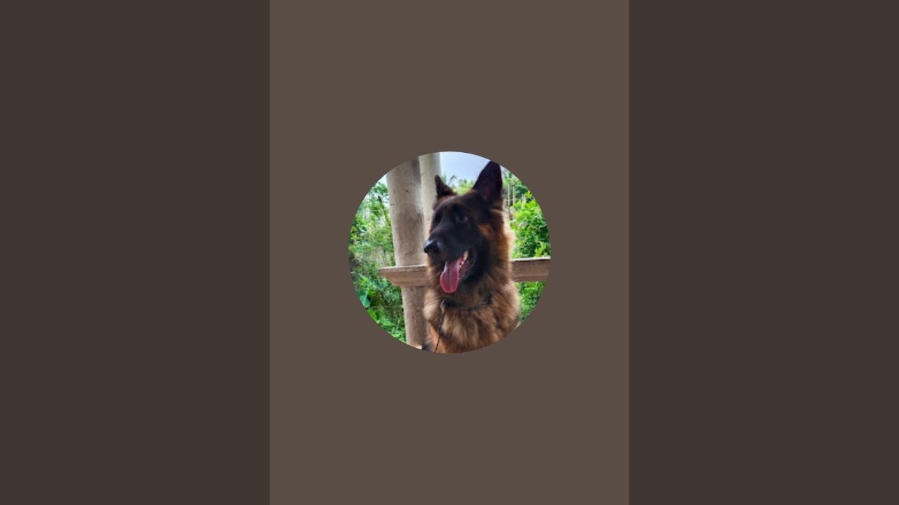 itz Raja bacha is live! - YouTube