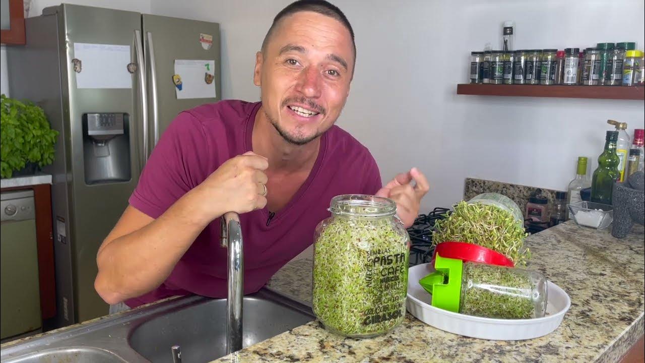 РОСТКИ ДОМА ЗА 3 ДНЯ 🌱 Проростки Инструкция выращивания - YouTube