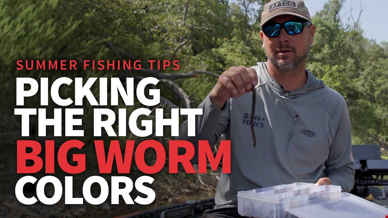 How I Choose my BIG WORM COLORS! (Offshore Bass Fishing) - YouTube