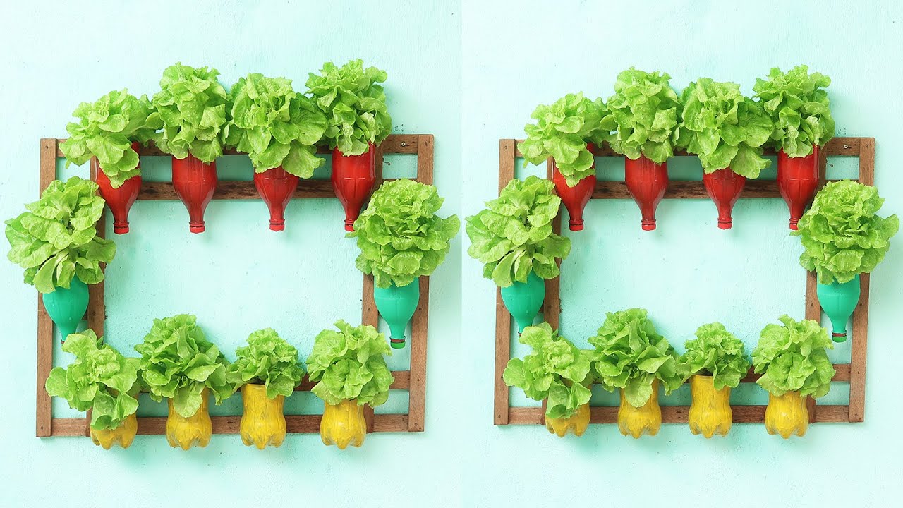 Creative Garden Ideas Vegetable Garden On The Beautiful Colorful Wall creative-garden-ideas-vegetable-garden-on-the-beautiful-colorful-wall