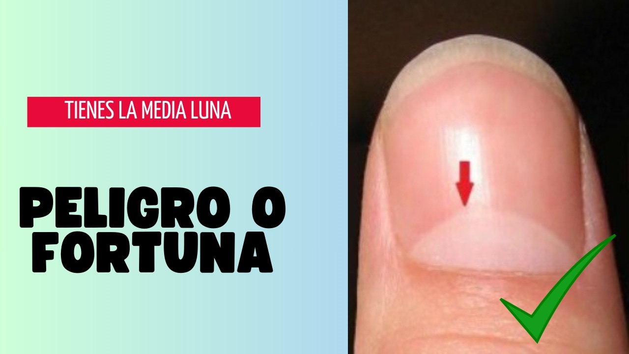 ¡Impactante. Qué Revela la Media Luna Según tu Signo - YouTube