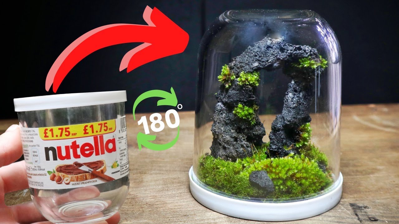 I Turned A Nutella Jar Into A Unique Terrarium Heres How Youtube
