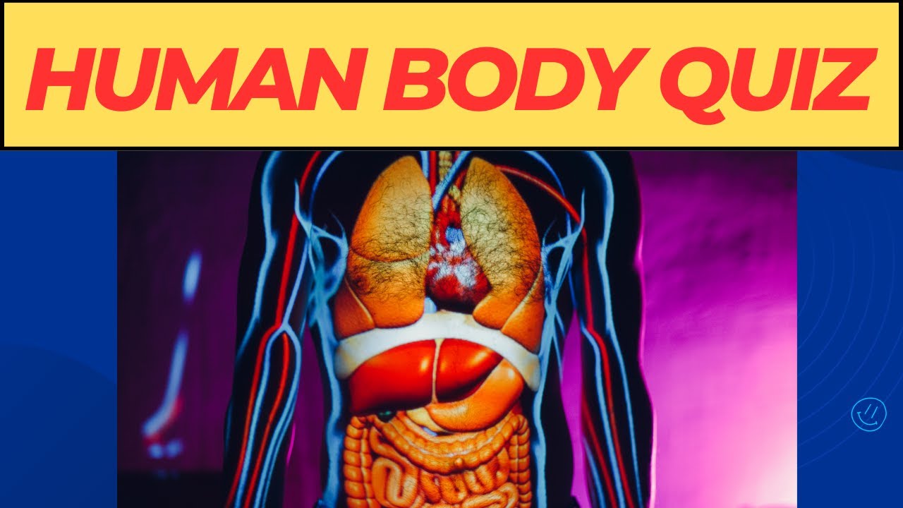 Human Body Quiz # 1| Can You Pass This Human Body Quiz? - YouTube