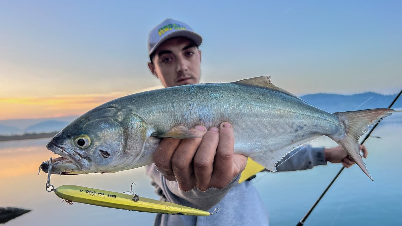 Lov zubatice u Albaniji / Bluefish fishing in Albania / Oktobar 2023 ...