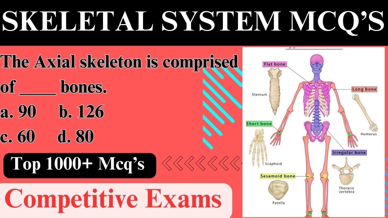 Skeletal system mcq’s 1b#skeleton #skeletalsystem #general #anatomy # ...