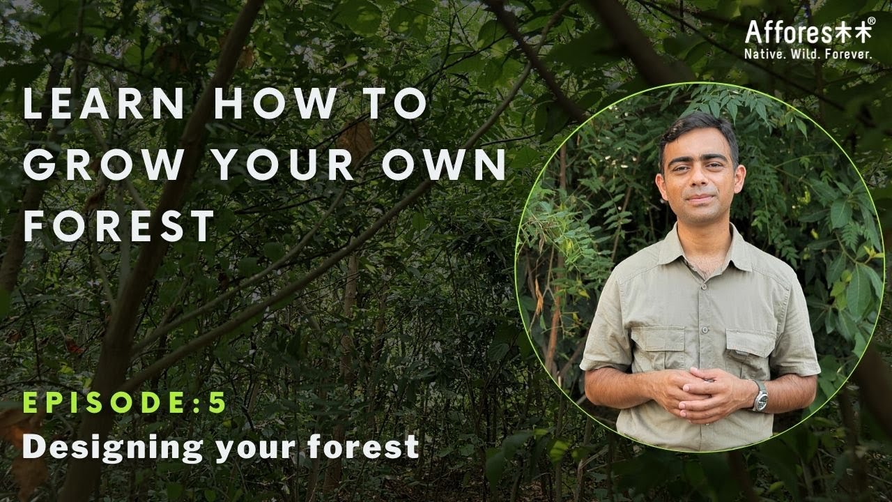 Ch:5 | Forest Design Guidelines| Forest Creation Tutorials | English ...