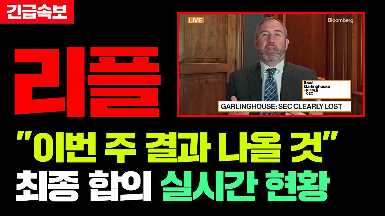 긴급속보 리플 이번 주 결과 나올 것 최종 합의 실시간 현황 리플 리플전망 리플코인 리플대응 Youtube