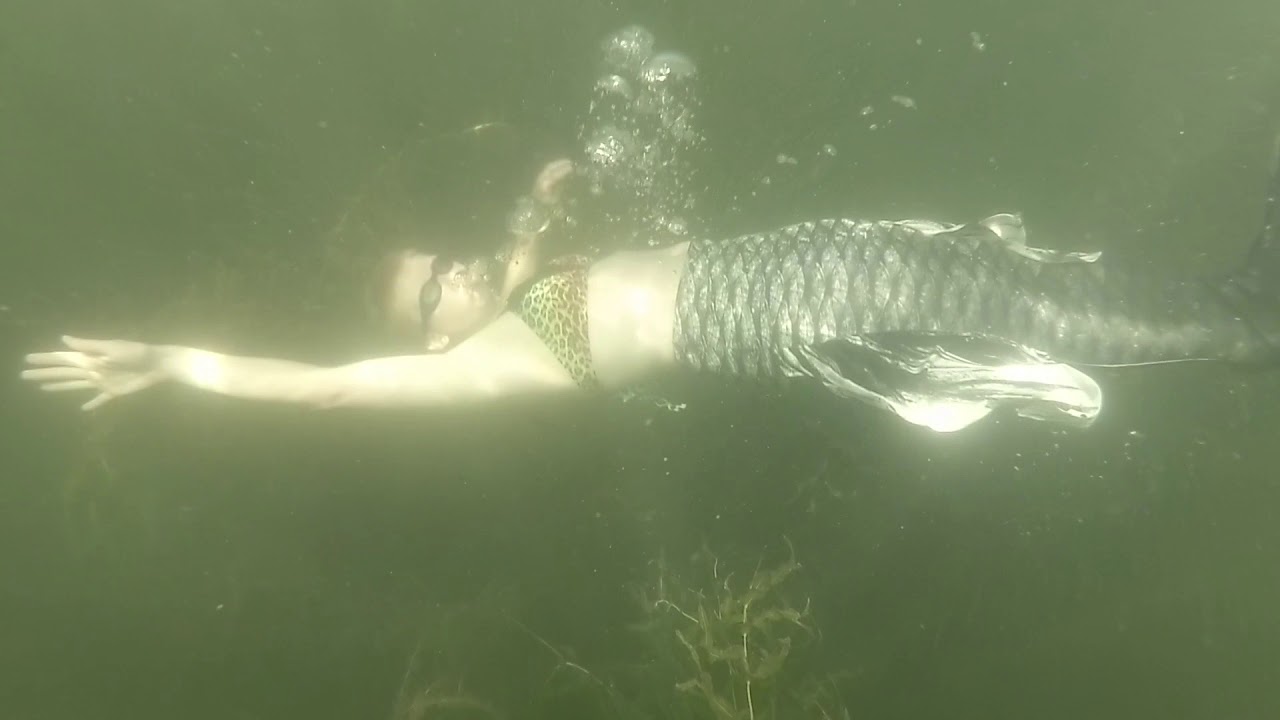 Mermaids in a murky lake - YouTube