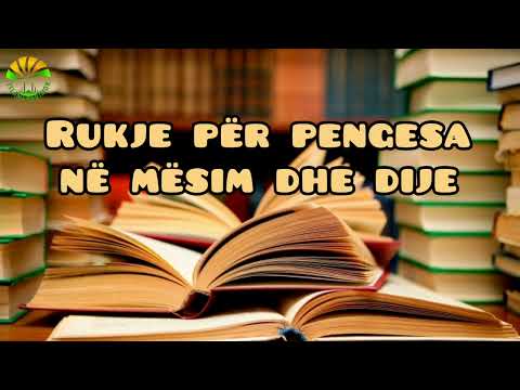 RUKJE PËR PENGESA NË MËSIM DHE DIJE