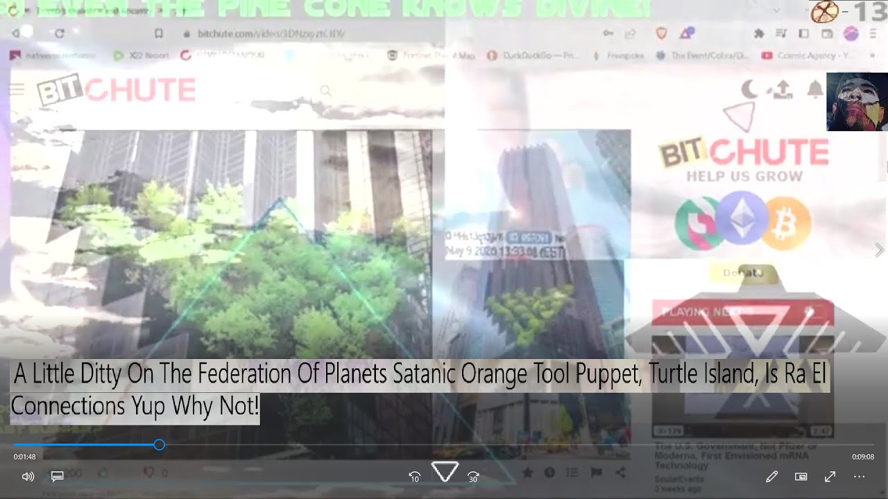 A Little Ditty On Federation Orange Tool Puppet, Turtle Island "Is Ra ...
