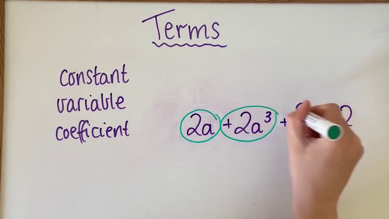 Algebra - Terms - YouTube
