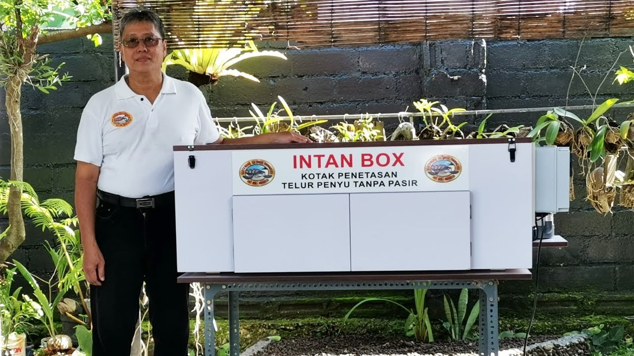 Intan Box: Teknologi Inovatif Untuk Penyelamatan Penyu Dari Ancaman ...