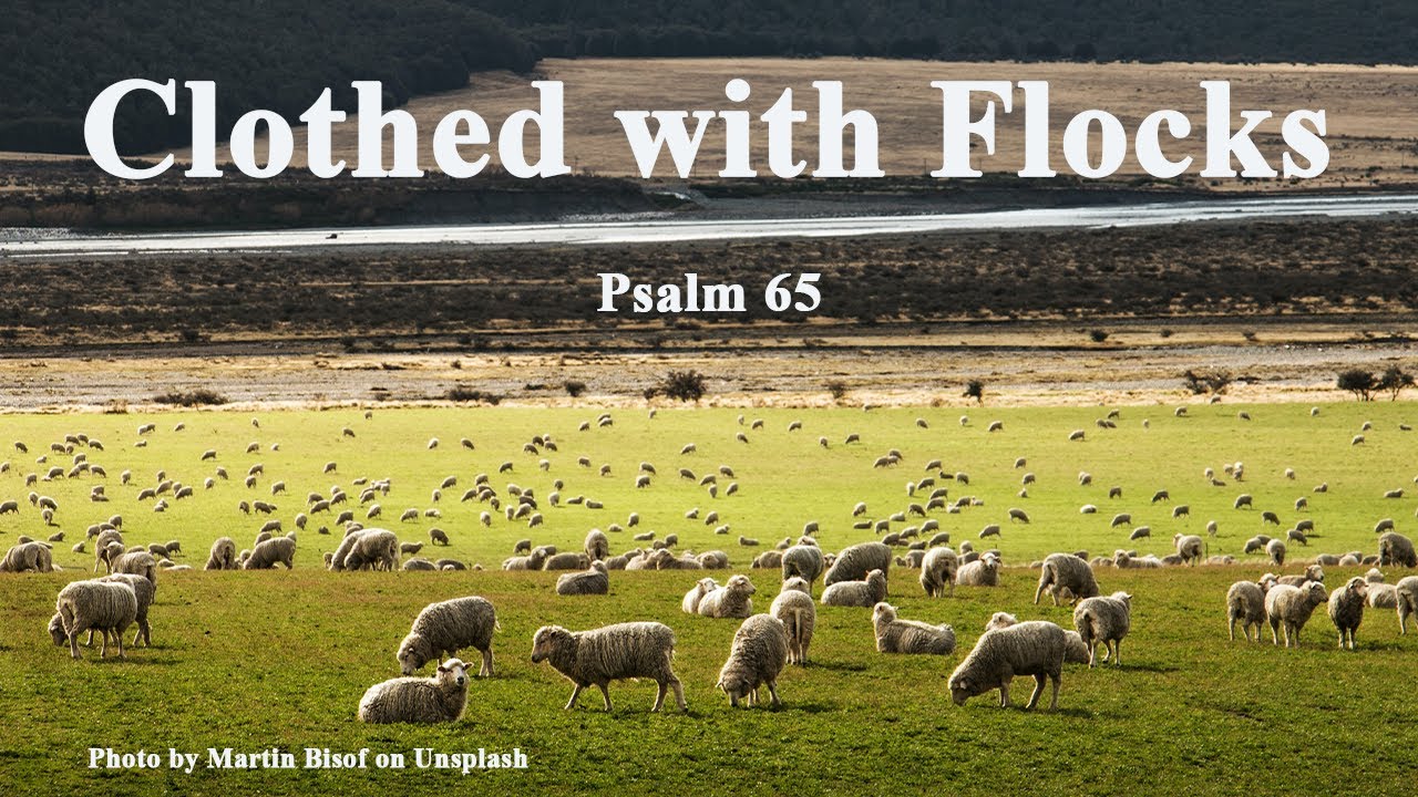 Psalm 65 5 8 October 26 2022 YouTube