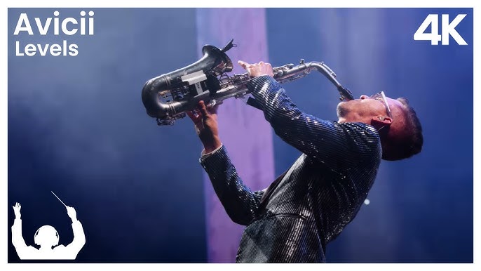 Levels Avicii Youtube
