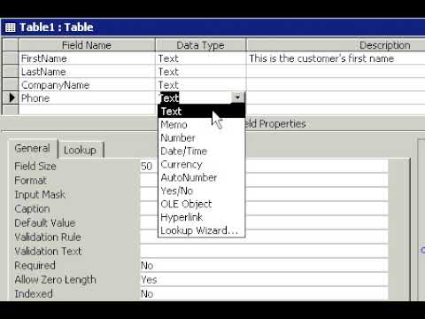 Microsoft Access 101 (for Access 2003) Lesson 07. The Customer Table ...