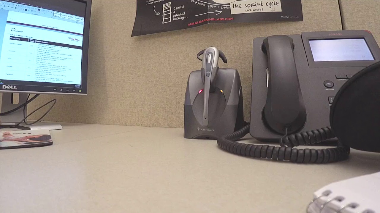 Leo Bell Live Stream - YouTube