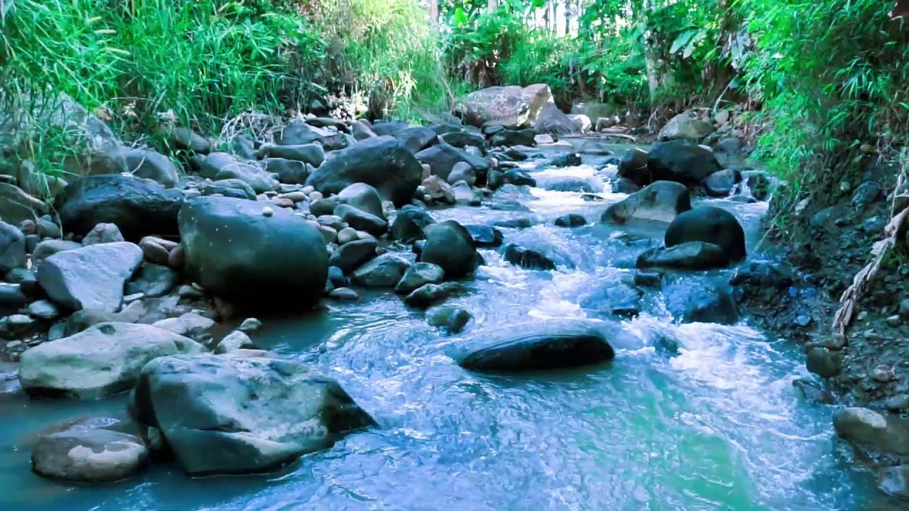 Soft Sound and Forest Vibe –A Forest Escape for Sleep | sleep - relax ...