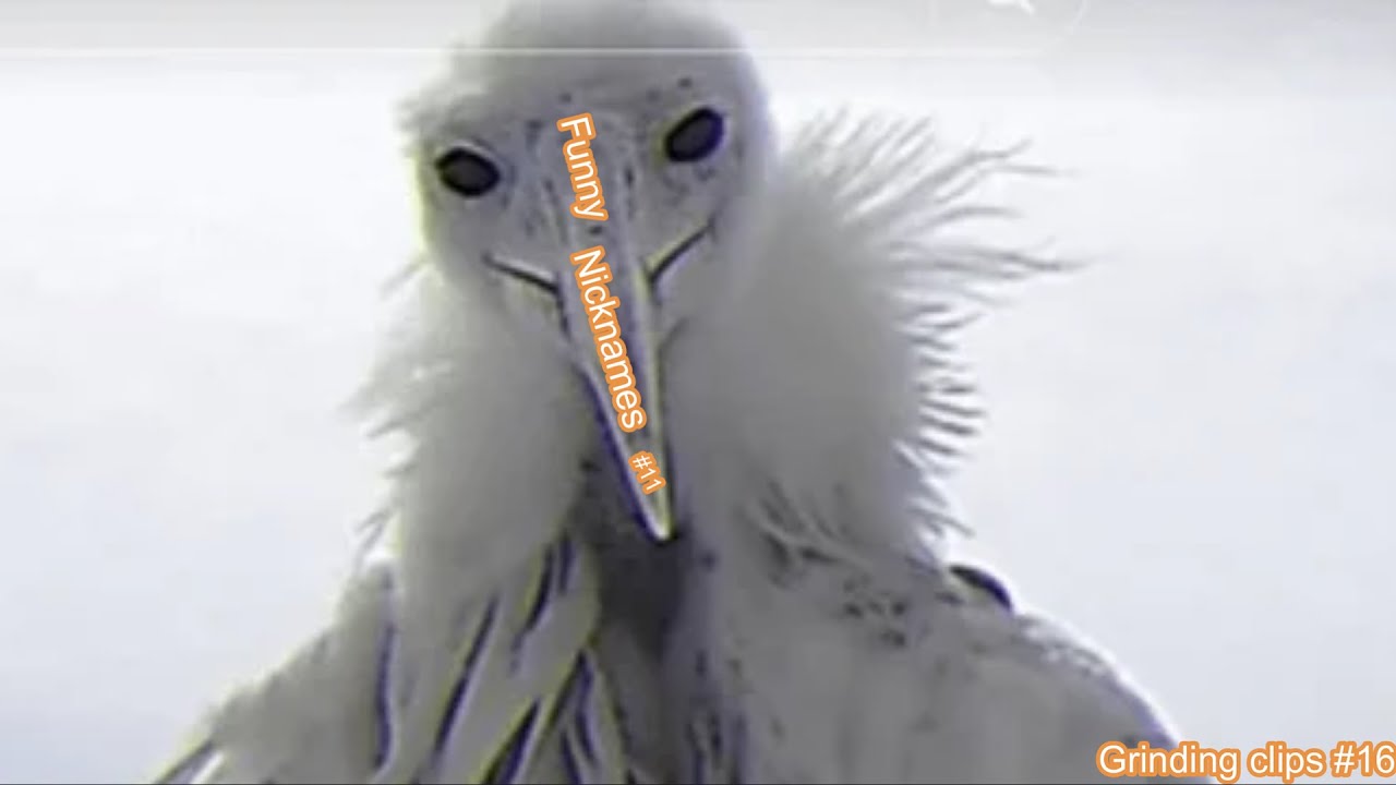Opium Bird // Funny Nicknames #11 | Grinding clips #16 - YouTube