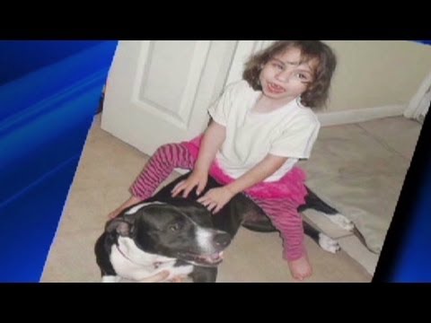 Blind girl's guide dog stolen