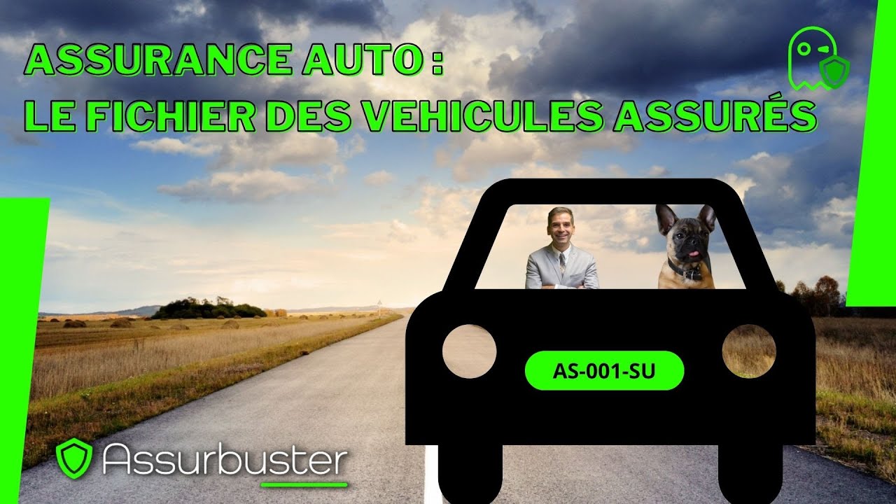 Le Fichier des Véhicules Assurés : Comment vérifier que son véhicule ...