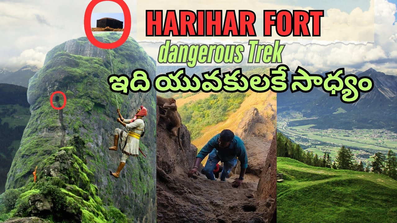Harihar Fort Most Dangerous Trek⛰️యువకుల యొక్క కల #hariharfort - YouTube