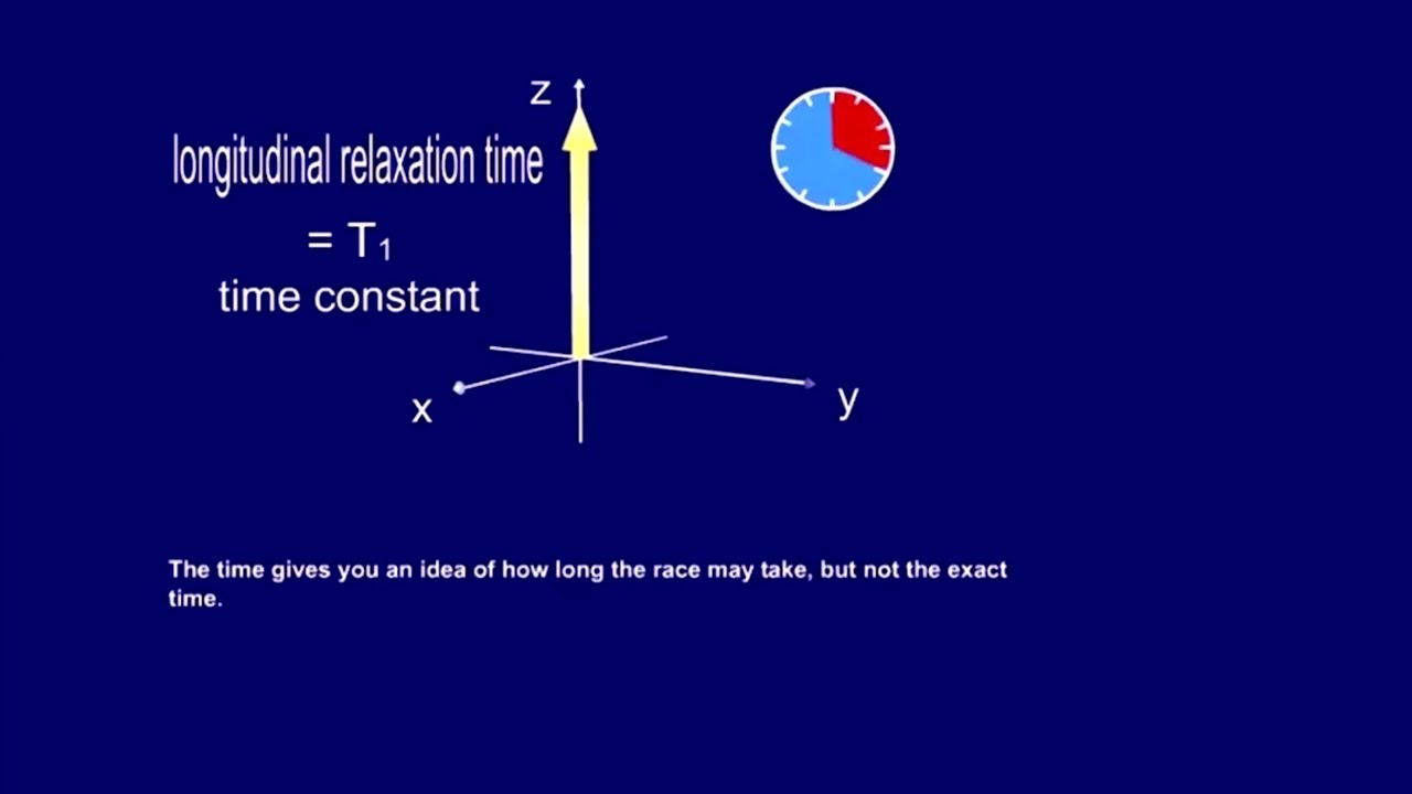 Longitudinal Relaxation | T1 Relaxation - YouTube